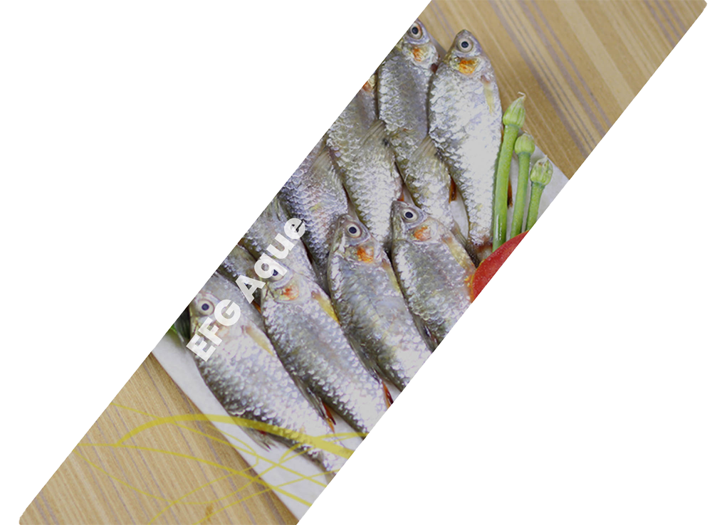 Euro Foods Group